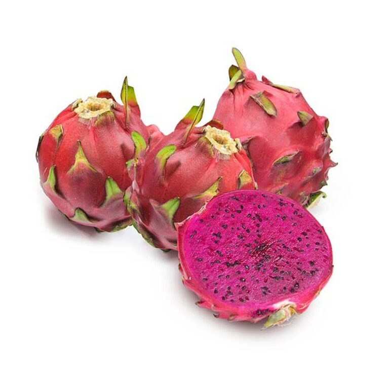 Pitaia Vermelha - Hylocereus undatus - SementeZona