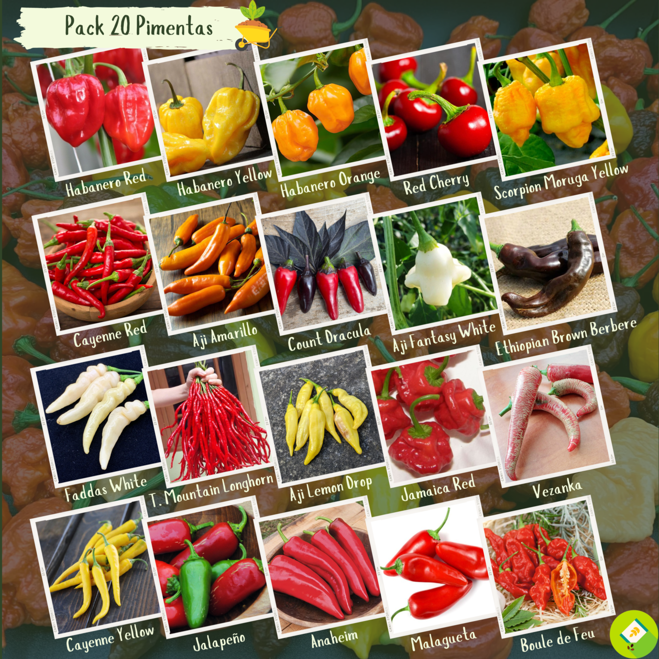 Pack/kit 20 Variedades de Pimentas Picantes - SementeZona