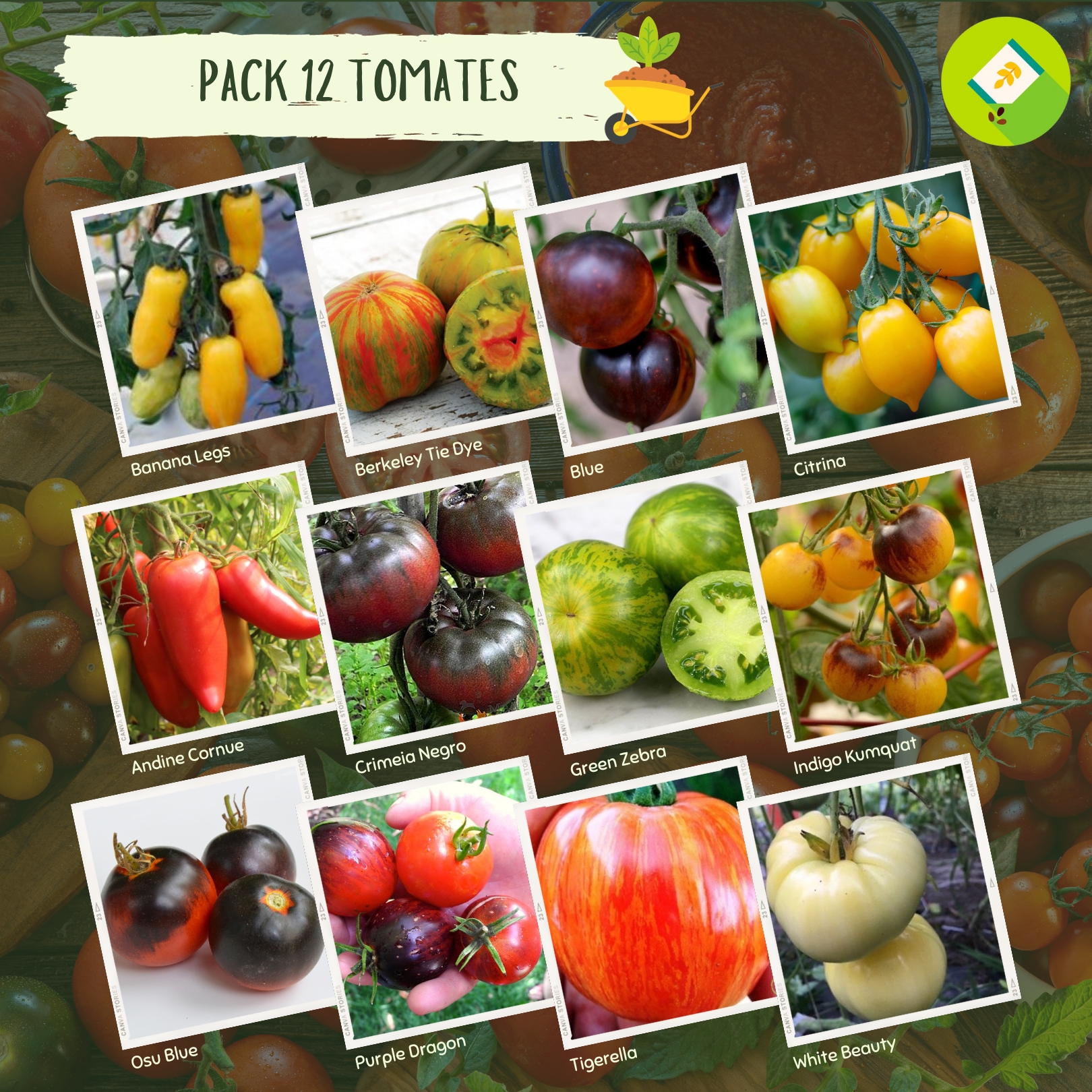 Pack 12 pacotes de Tomates - SementeZona